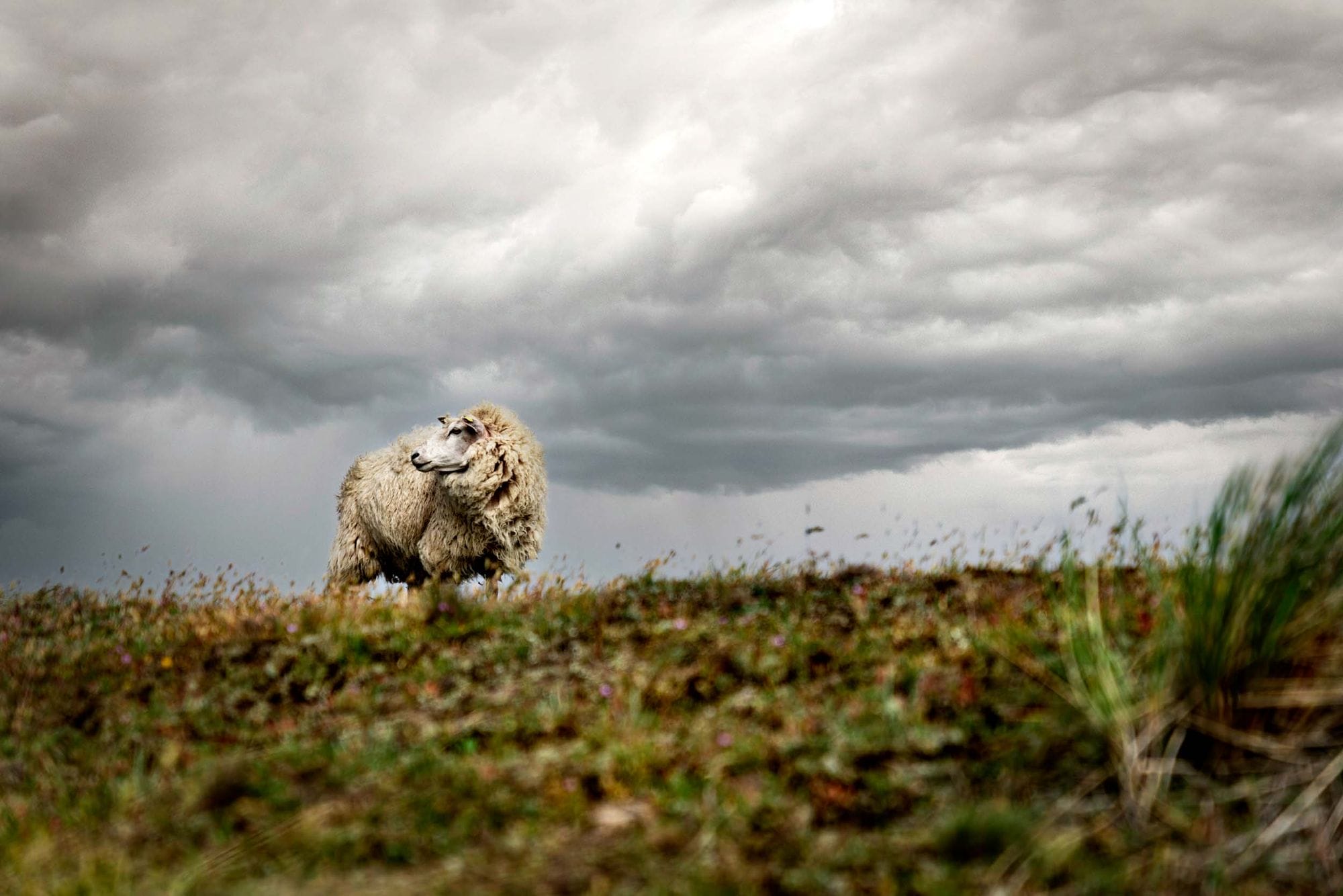 Ruth Spencer grapples with watercolour painting - WOMAN
