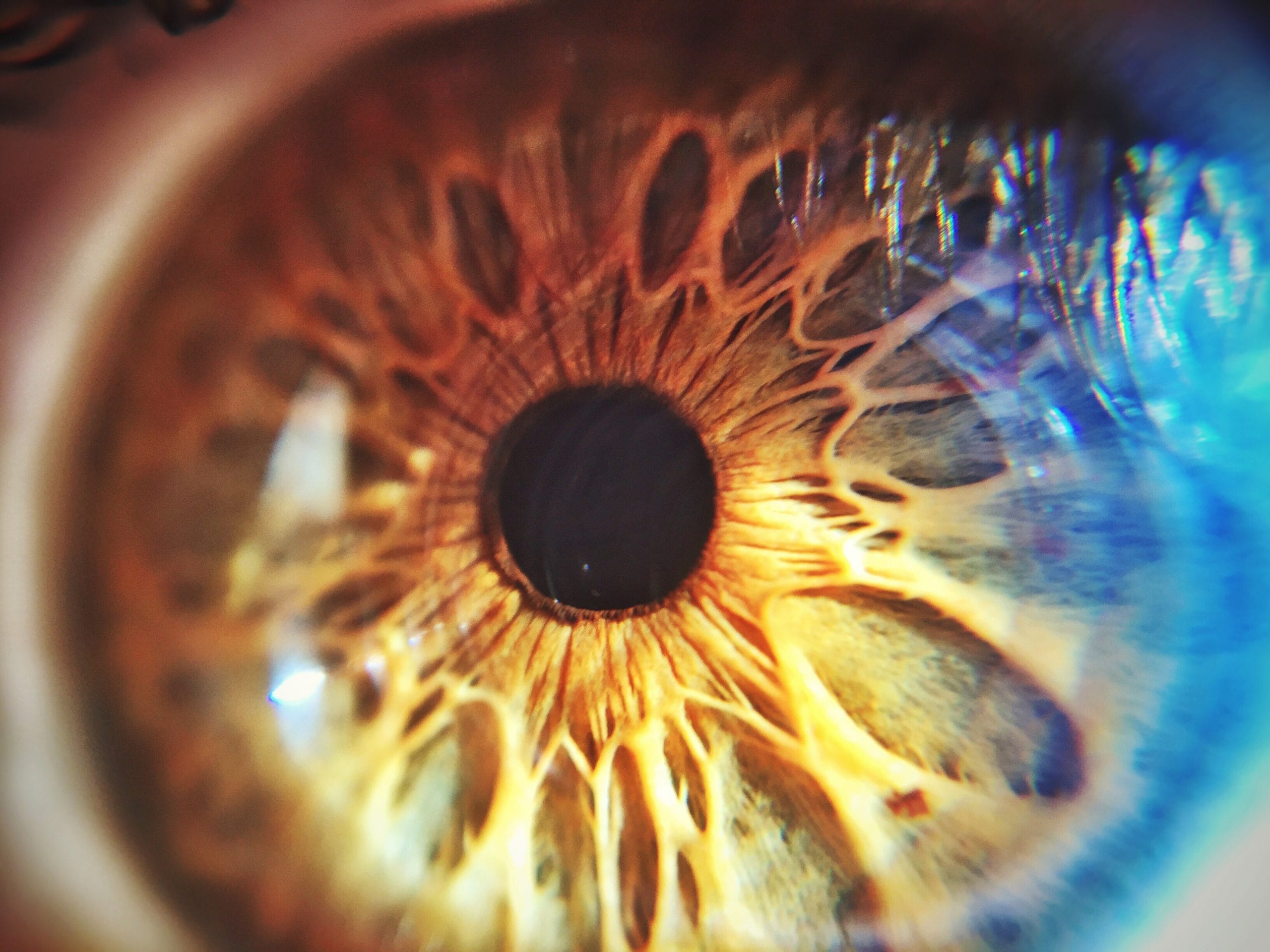 I Am Your Eyes - WOMAN