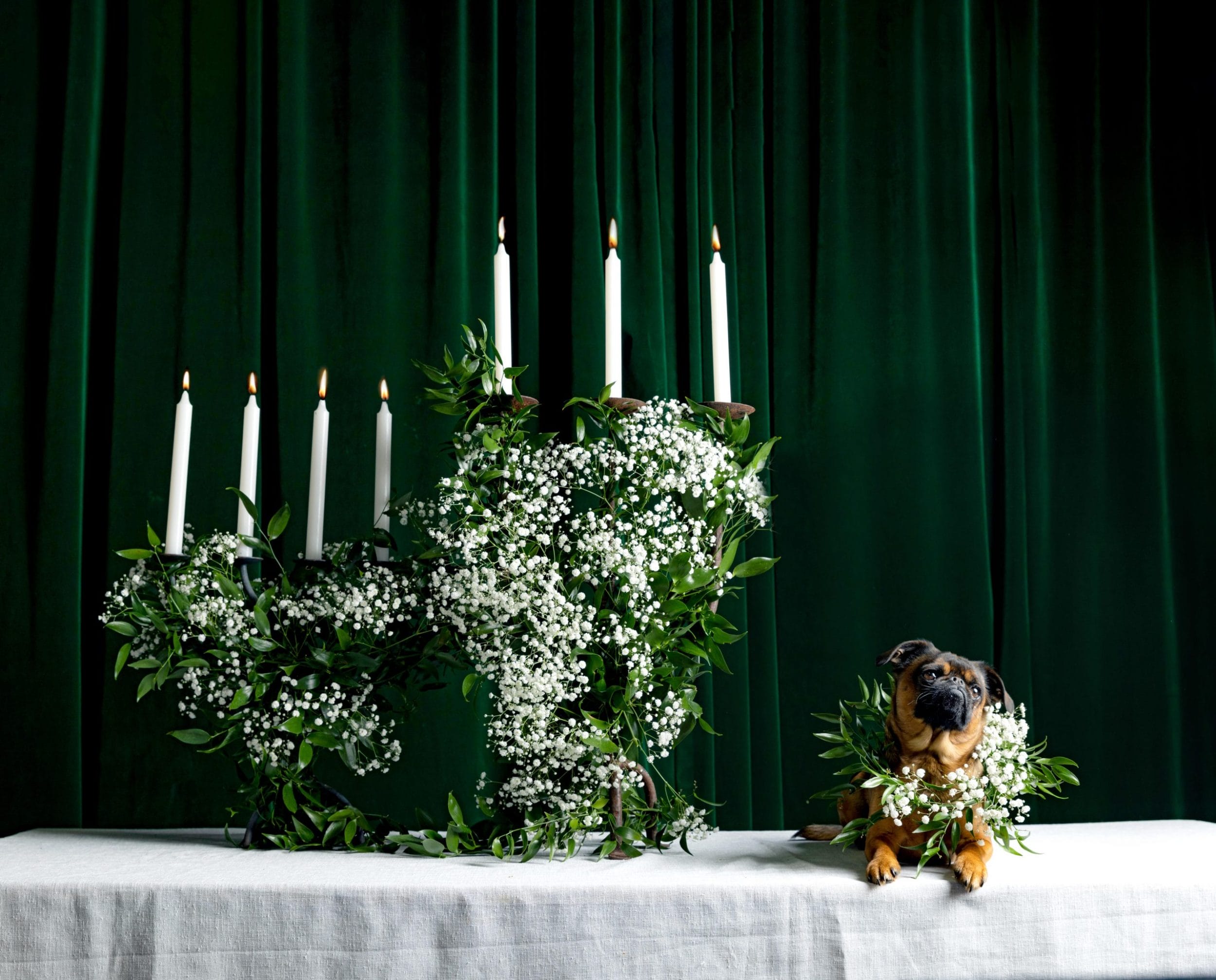 How to create your own festive table centrepiece - WOMAN