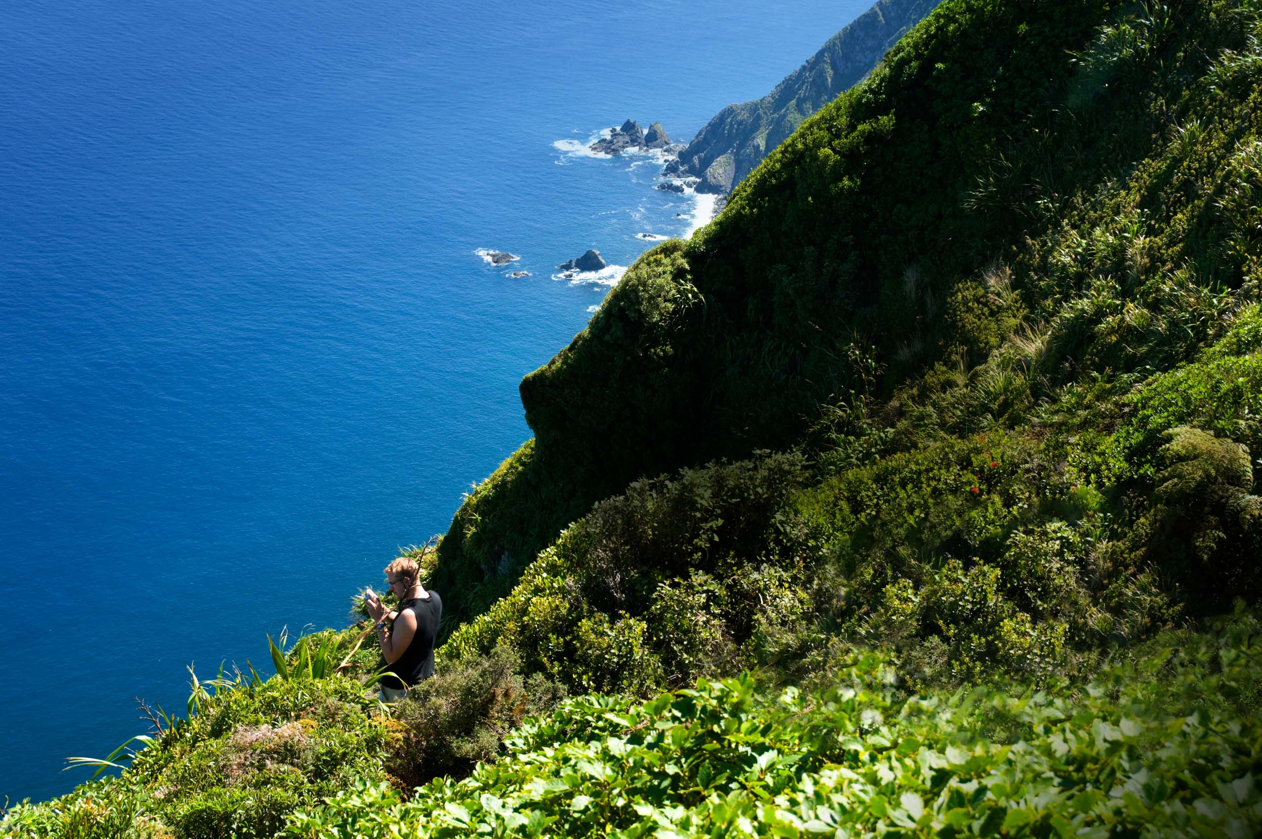 A place I love: Tour guide John Barrett on Kāpiti Island - WOMAN