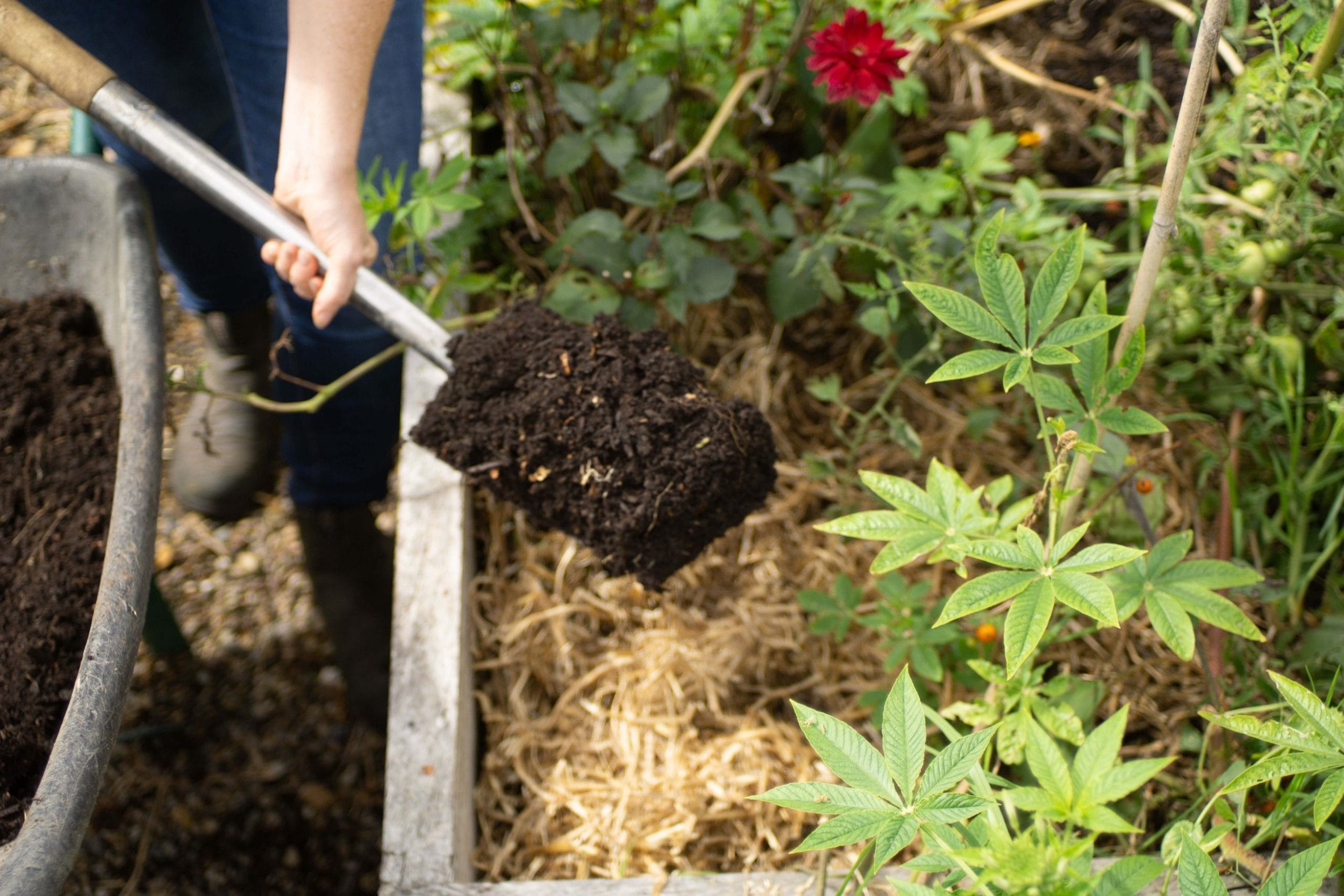 This beginner's guide to making compost will help you cultivate healthy ...
