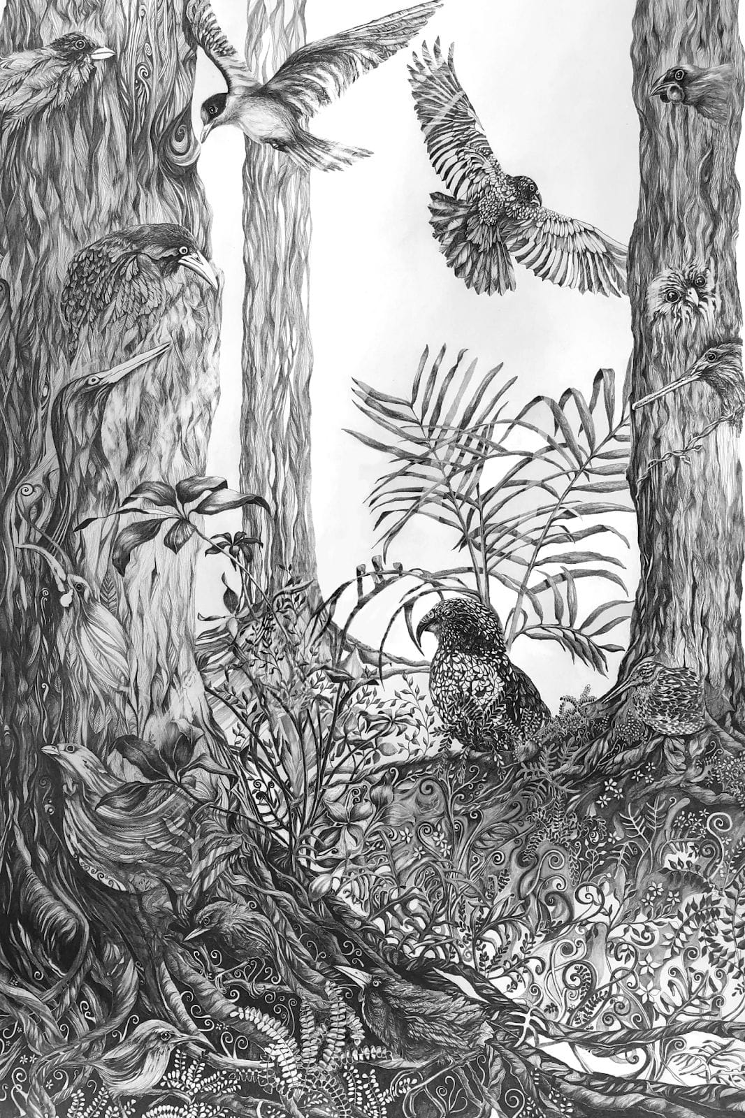 Danielle Mathieson: Capturing the Fragile Beauty of New Zealand’s ...