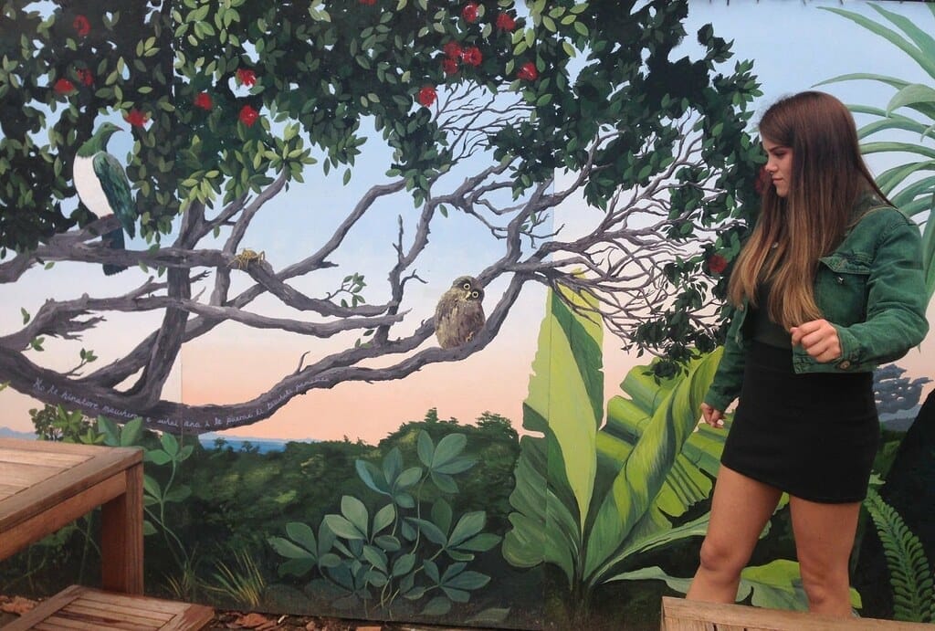 Danielle Mathieson: Capturing the Fragile Beauty of New Zealand’s ...