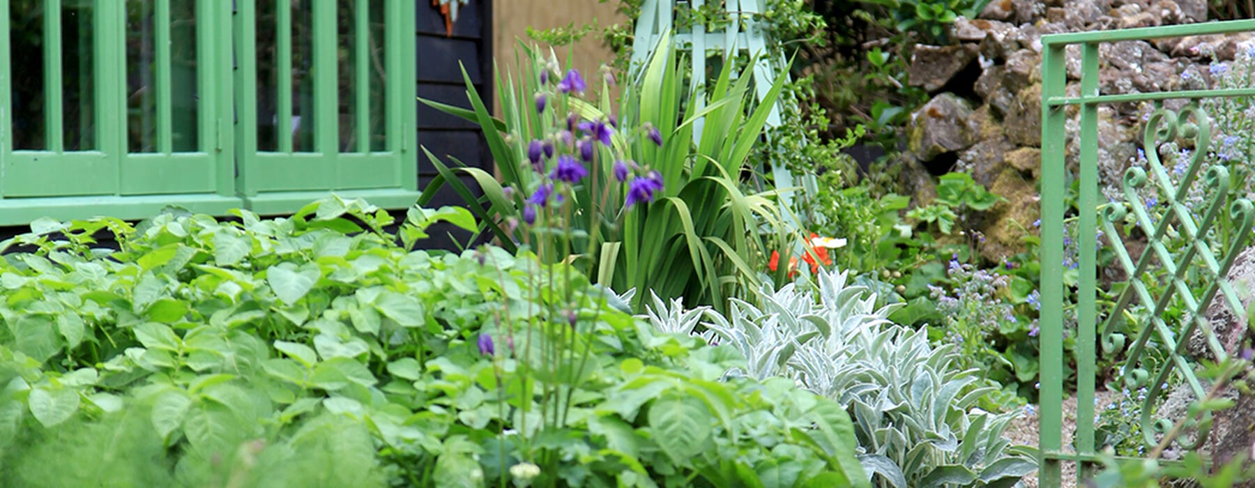 This expert shares her tips for growing a potager kitchen garden - WOMAN