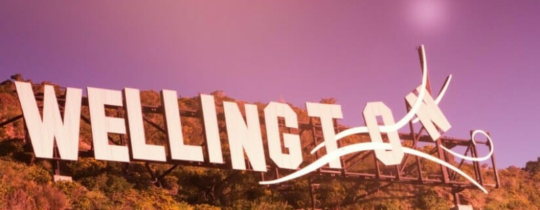 Whats On For Wellington Anniversary Long Weekend - WOMAN